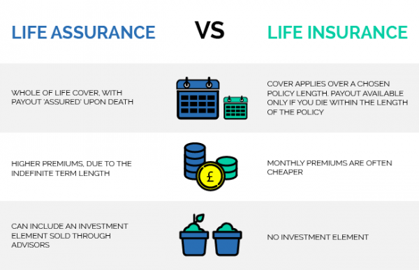 Life Assurance vs Life Insurance? - Blue Strawberry